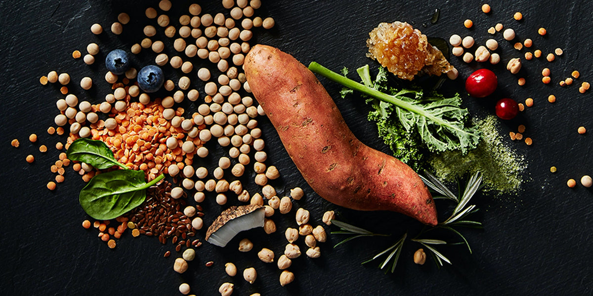 Do dogs really need superfoods too? – Billy + Margot