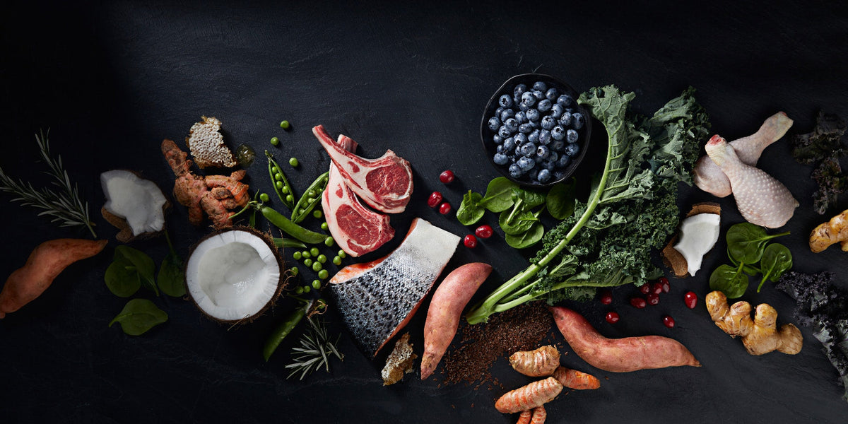 What food is best for my dog? – Billy + Margot