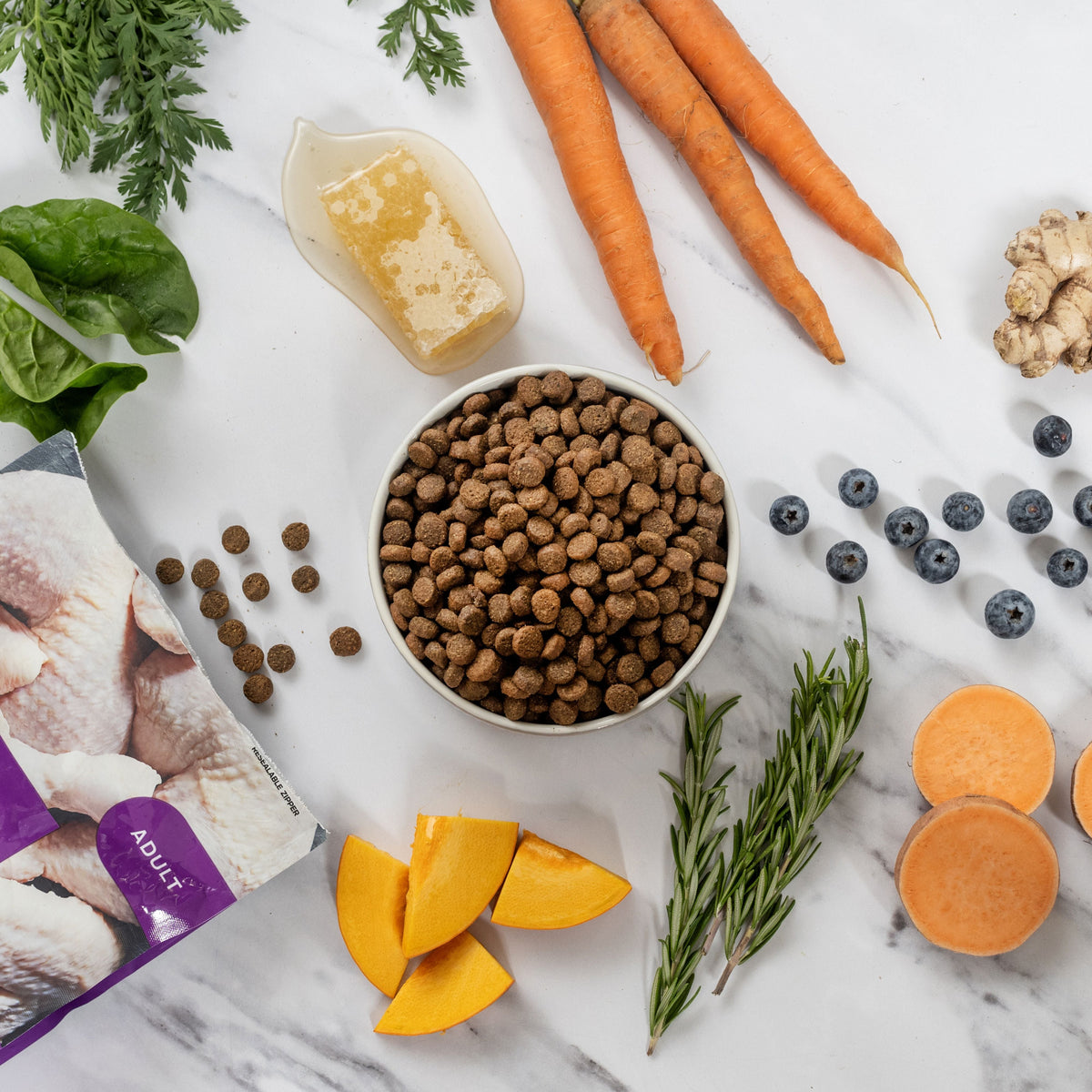 Billy + Margot Single Animal Protein Chicken + Superfood Recipe Adult