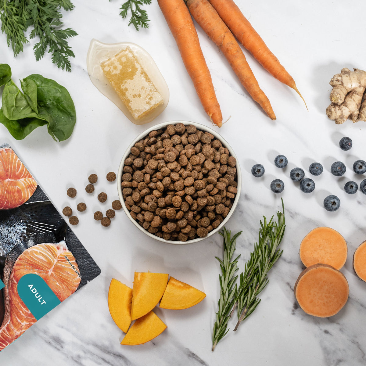 Billy + Margot Single Animal Protein Salmon + Superfoods Recipe Adult